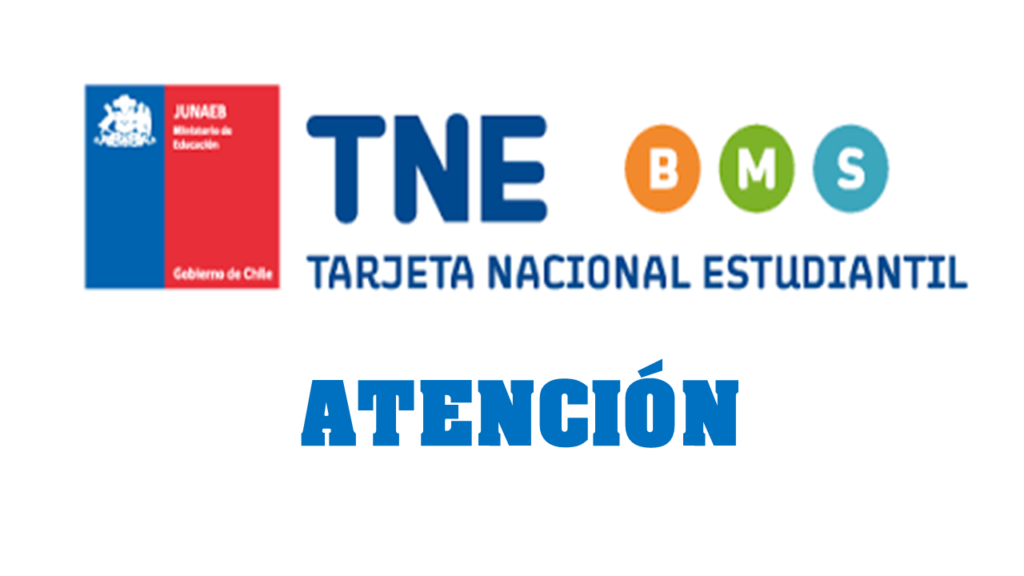 TNE – Colegio San Francisco de Asís de La Florida